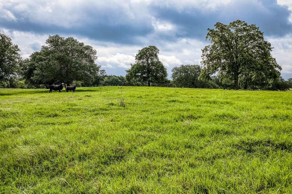 Featured Listings: Acreage Only (30+ acres) – Schultz Texas Properties
